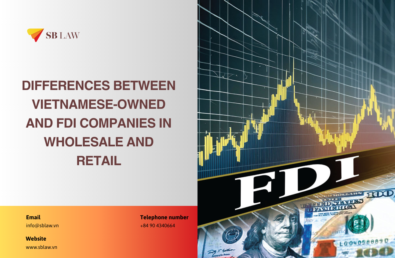 Differences Between Vietnamese-Owned and FDI Companies in Wholesale and ...