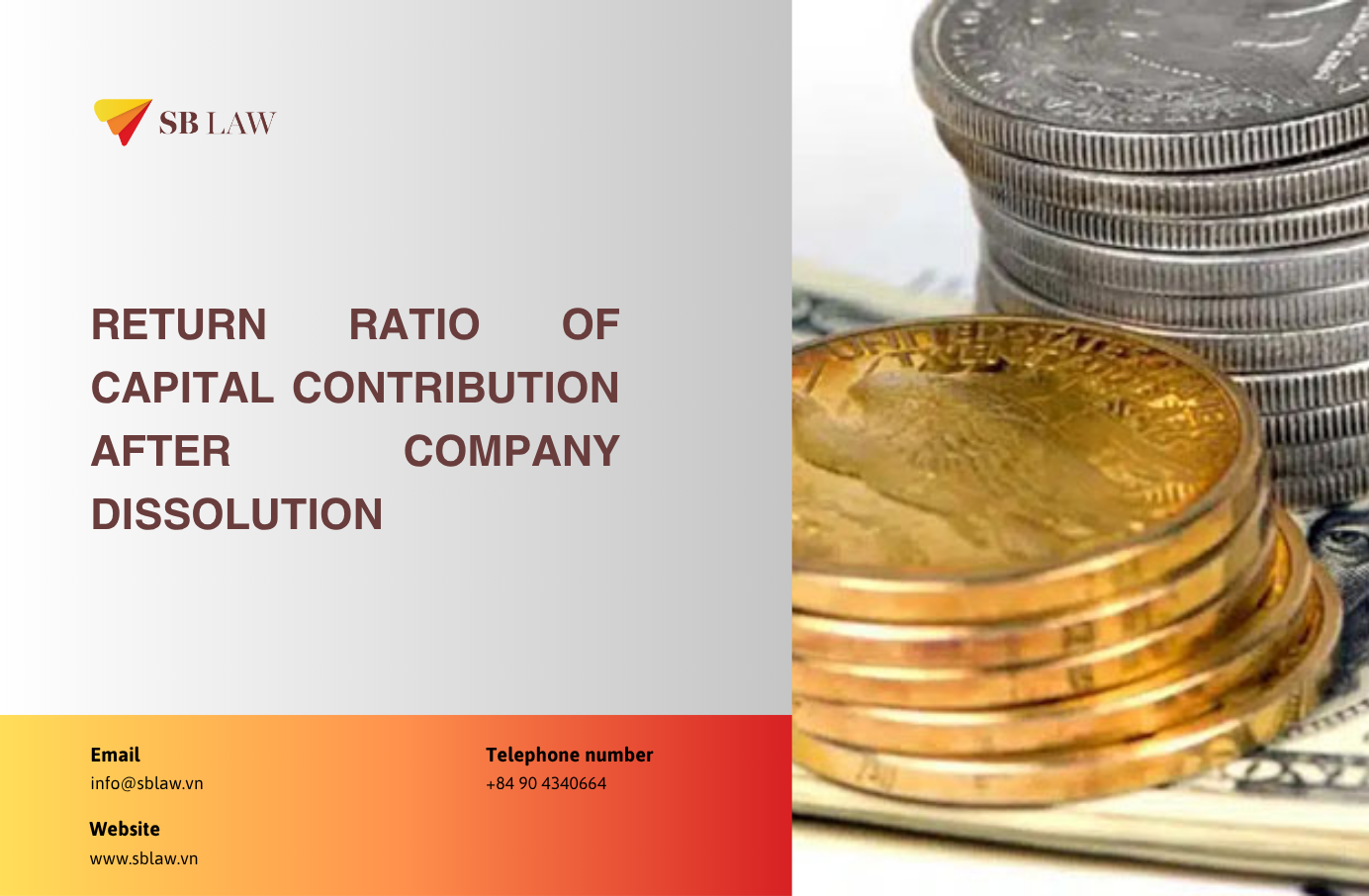 Return Ratio of Capital Contribution After Company Dissolution ...